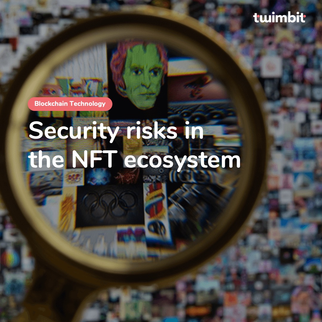 Security risks in the NFT ecosystem - Twimbit